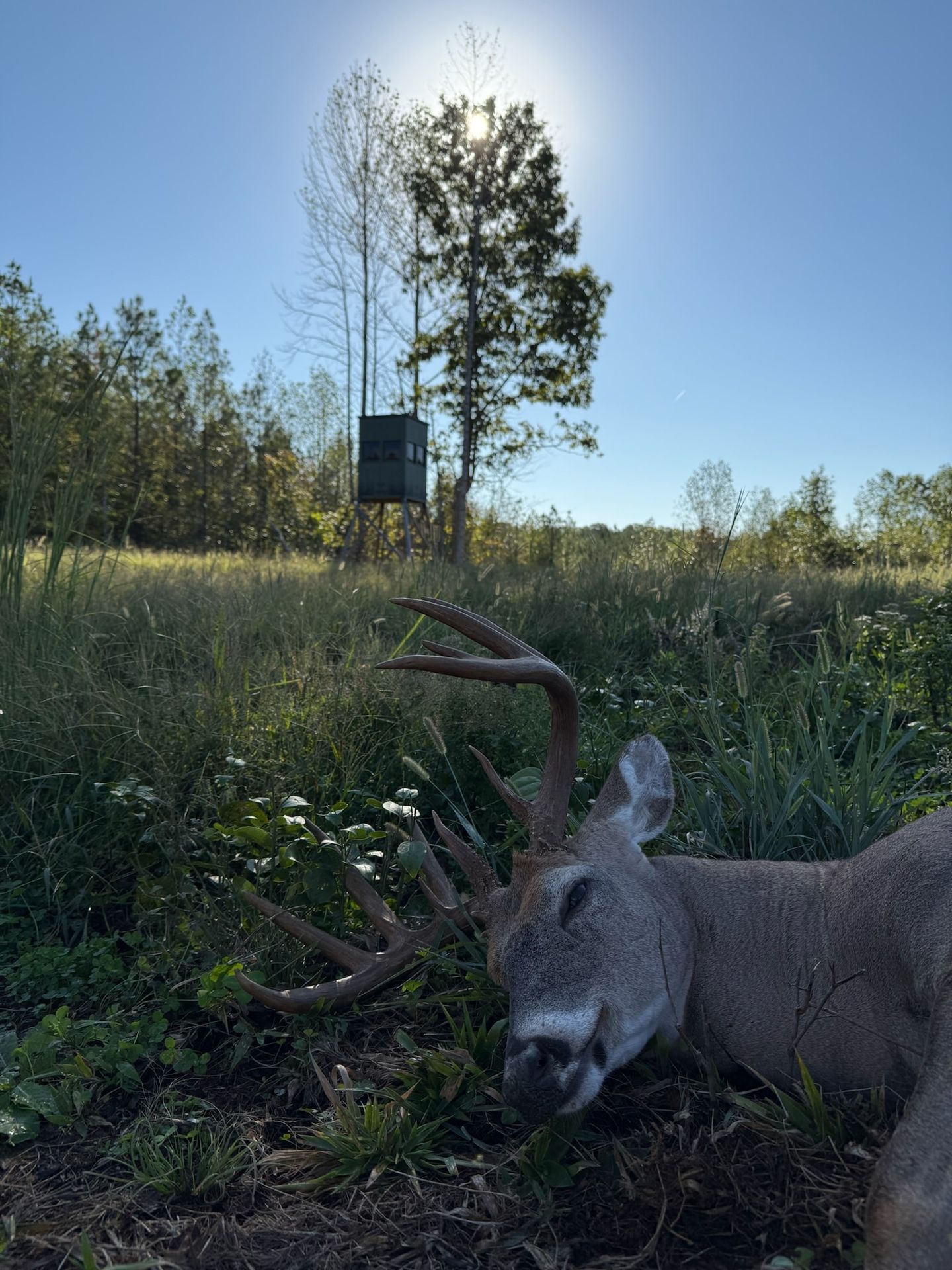 Trophy Hunting Blinds